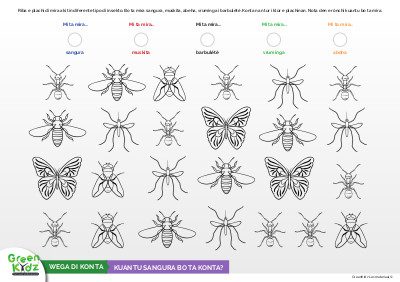 Mosquito detectives | Greenkidz